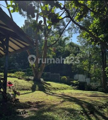 Villa Area Rekreasi Taman Safari Di Citeko Cisarua Kab Bogor | Rumah123