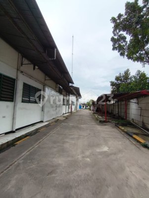 Disewakan Gudang Sapan 1 Hektar: Fasilitas Lengkap, Parkir 25 Truk ...