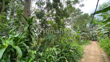 Jual Tanah Kebun Dekat Arah Wisata Taman Batu Bojong Purwakarta | Rumah123