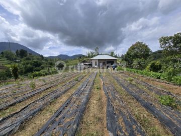 Dijual Tanah Kecil View Istimewa di Bedugul Bali | Rumah123