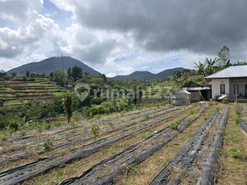 Dijual Tanah Kecil View Istimewa di Bedugul Bali | Rumah123