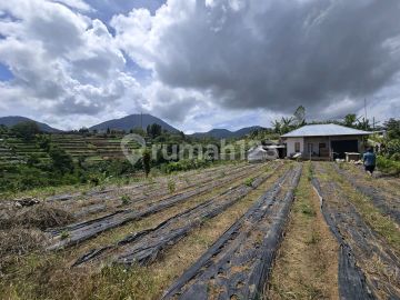 Dijual Tanah Kecil View Istimewa di Bedugul Bali | Rumah123