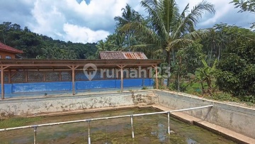 Kolam Ikan Samping Jalan Mobil Pinggir Sungai Jernih | Rumah123