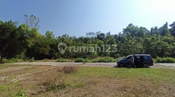 Tanah Siap Transaksi Notaris Selatan Polres Kulon Progo, SHM | Rumah123