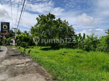 Tanah Strategis 2,343 Hektar Area Denpasar Gilimanuk | Rumah123