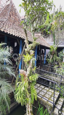 guest House Cantik Full Occupansi Di Bandung Utara di Lembah bajuri ...