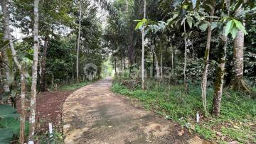 Dijual Tanah Kebun 2400 M2 Dekat ke Pasar Bojong Purwakarta | Rumah123