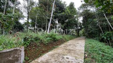 Dijual Tanah Kebun 2400 M2 Dekat ke Pasar Bojong Purwakarta | Rumah123