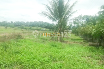 Dijual Tanah Kosong - Pasar X Jalan Glugur Rimbun | Rumah123