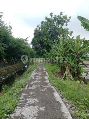 Dijual Tanah Luas di Cemandi Sedati Sidoarjo Vg 88 | Rumah123