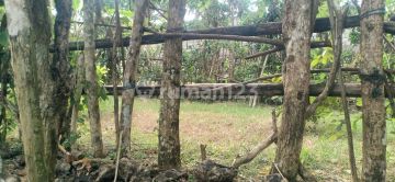 Beautiful Land | Rumah123