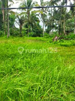 Land For Lease 48 Are In Kedisan - Tegallalang - Ubud | Rumah123