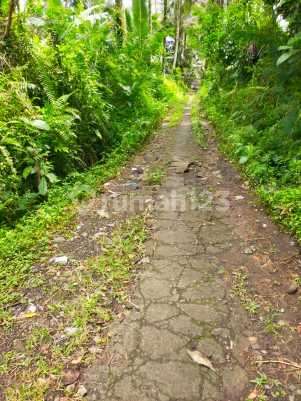 Land For Lease 48 Are In Kedisan - Tegallalang - Ubud | Rumah123
