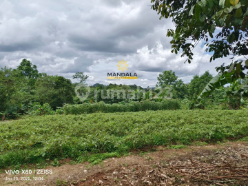 Dijual Tanah di Demplot Rumpin - 500m dari Pintu Tol Mekarsari & 4km ...