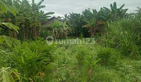 Jual Tanah di Rumpin, Bogor | Harga per Meter Terbaru