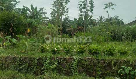 Jual Tanah di Rumpin, Bogor | Harga per Meter Terbaru