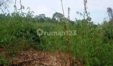 Jual Tanah di Rumpin, Bogor | Harga per Meter Terbaru