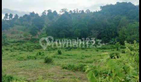 Jual Tanah di Rumpin, Bogor | Harga per Meter Terbaru
