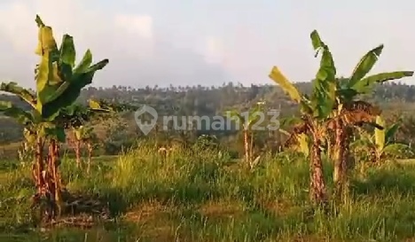 Jual Tanah di Parung Kuda, Sukabumi | Harga per Meter Terbaru