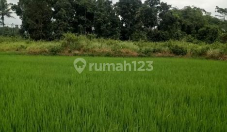 Jual Tanah di Rumpin, Bogor | Harga per Meter Terbaru