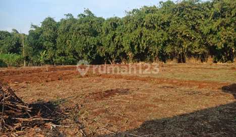 Jual Beli Tanah di Rumpin, Bogor | Harga per Meter 2025