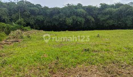 Jual Tanah di Rumpin, Bogor | Harga per Meter Terbaru