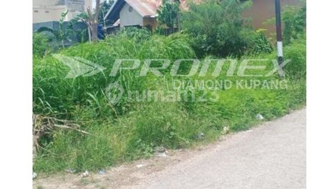 Jual Tanah di Kupang | Harga Terbaru 2024