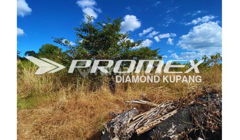 Jual Tanah di Kupang | Harga Terbaru 2024