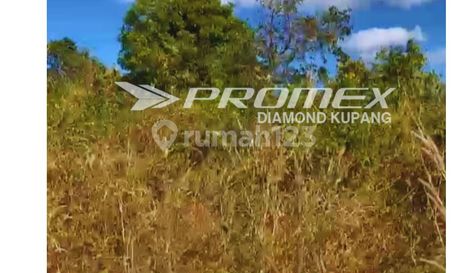 Jual Tanah di Kupang | Harga Terbaru 2024