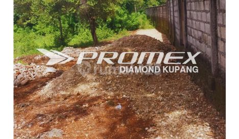 Jual Tanah di Kupang | Harga Terbaru 2024