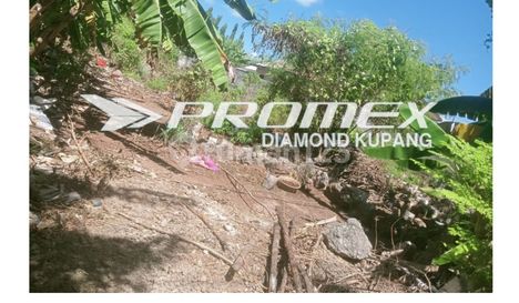 Jual Tanah di Kupang | Harga Terbaru 2024