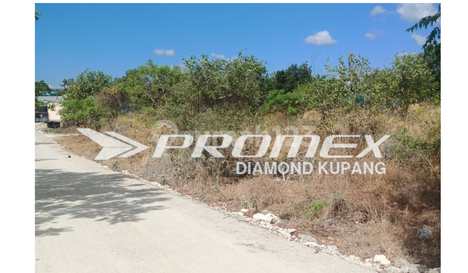 Jual Tanah di Kupang | Harga Terbaru 2024