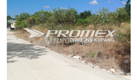 Jual Tanah di Kupang | Harga Terbaru 2024
