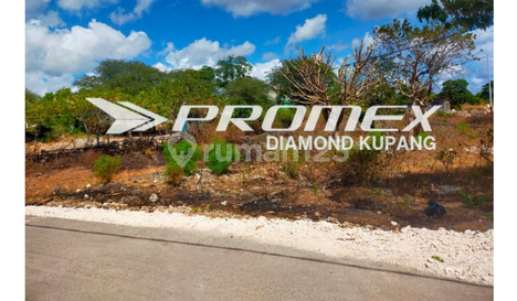 Jual Tanah di Kupang | Harga Terbaru 2024