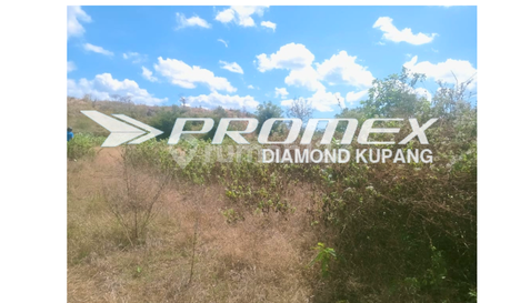 Jual Tanah di Kupang | Harga Terbaru 2024