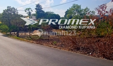 Jual Tanah di Kupang | Harga Terbaru 2024