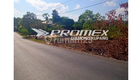 Jual Tanah di Kupang | Harga Terbaru 2024