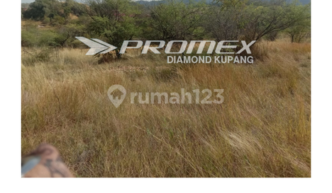 Jual Beli Tanah di Kupang | Harga Tanah per Meter 2025