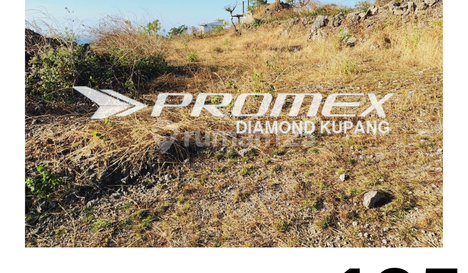 Jual Beli Tanah di Kupang | Harga Tanah per Meter 2025