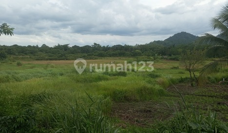 Jual Beli Tanah di Rumpin, Bogor | Harga Tanah per Meter 2025