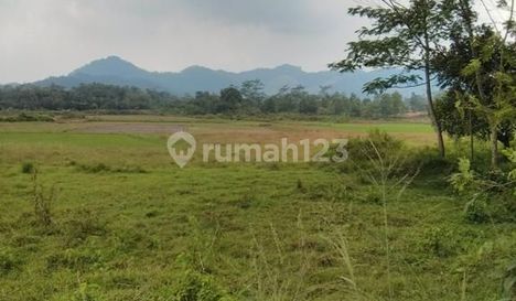 Jual Tanah di Rumpin, Bogor | Harga per Meter Terbaru