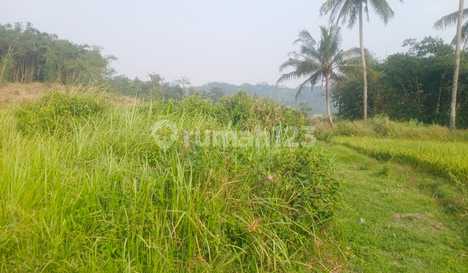 Jual Beli Tanah di Rumpin, Bogor | Harga per Meter 2025