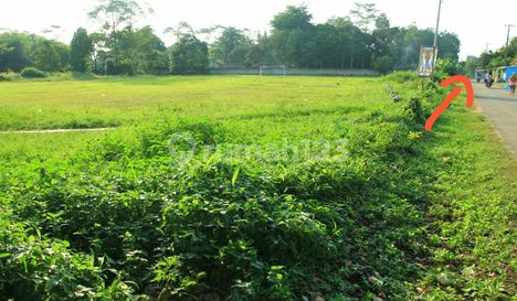 Jual Beli Tanah di Rumpin, Bogor | Harga per Meter 2025