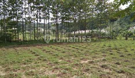 Jual Tanah di Rumpin, Bogor | Harga per Meter Terbaru