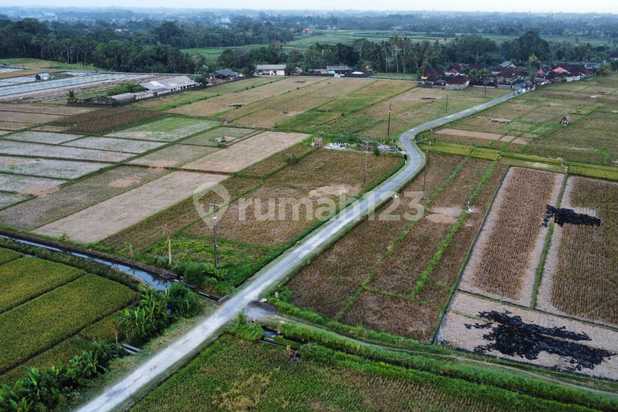 Dijual Sebidang Tanah Kosong Yang Terletak di Desa Wisata Kelating ...