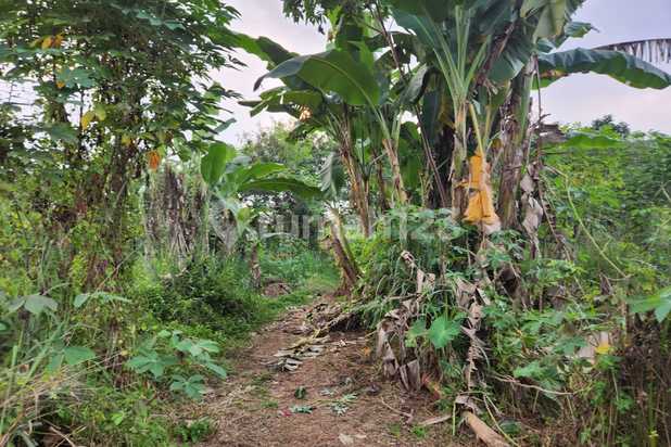 Dijual Tanah Limo 3 Menit Ft Upn Veteran Jakarta Kampus Limo - oleh ...