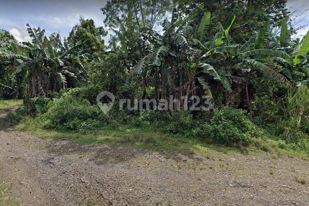 Jual Cepat Tanah di Gunung Sindur, Lurusan Jalan Atma Asnawi ...