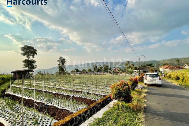 Tanah pemandangan gunung lawu di Segoro Gunung Kemuning Karanganyar ...