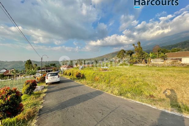 Tanah pemandangan gunung lawu di Segoro Gunung Kemuning Karanganyar ...