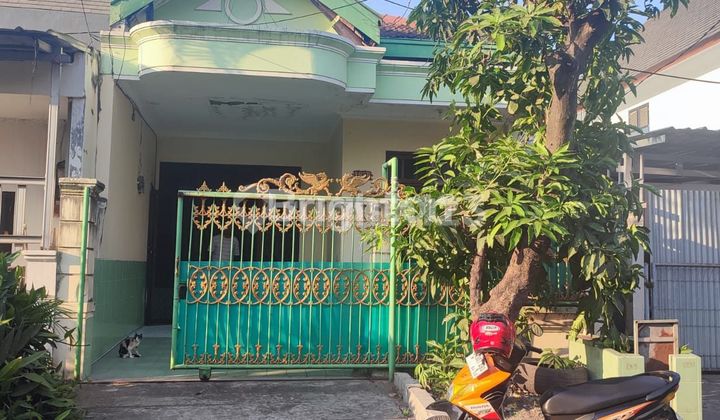 Rumah Tipe 45 Dijual di Dukuh Kupang, Surabaya | Terbaru 2024